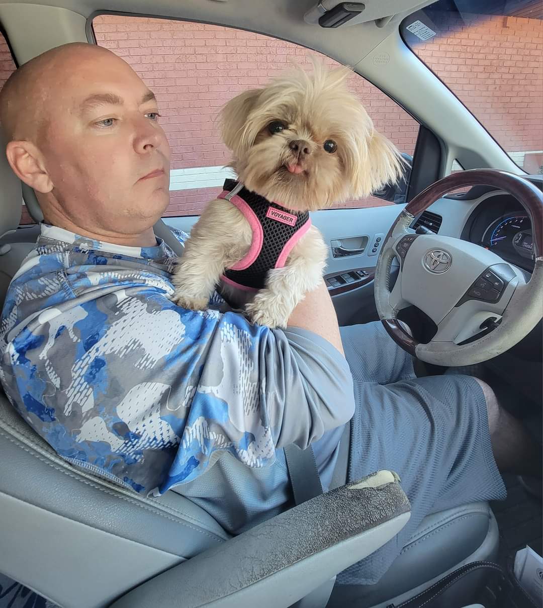 Chimera’s Little Blessings – Chimera Shih Tzu