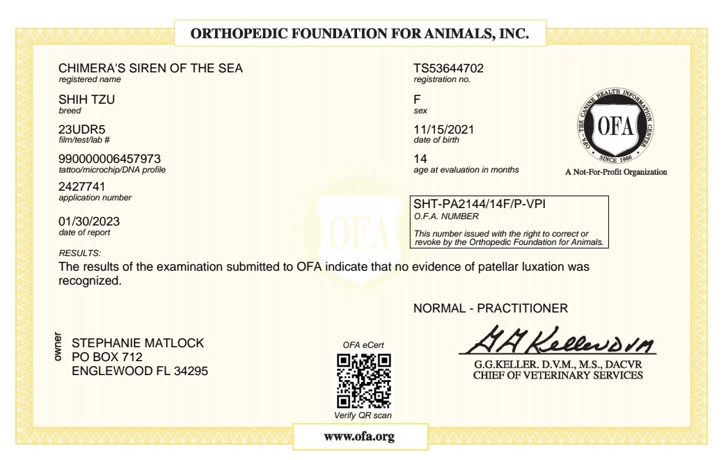 Health Testing OFA/CHIC Embark DNA – Chimera Shih Tzu